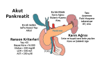 Akut pankreatit Nedir? (Akut pankreatit Belirtileri ve Tedavisi ...